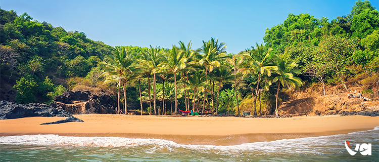Best Beaches Near Bangalore | Perfect for a holiday